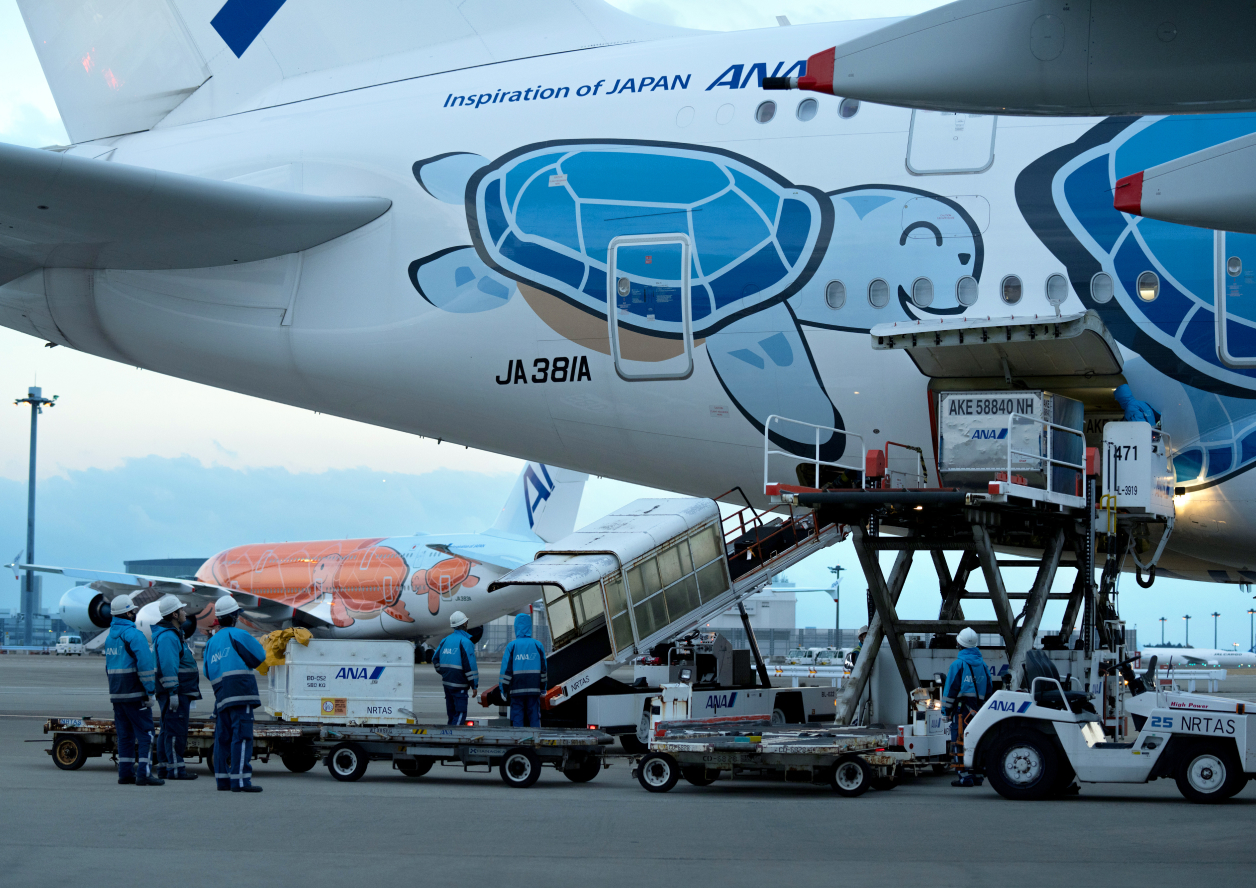 グランドハンドリング事業 | ANA成田エアポートサービス株式会社